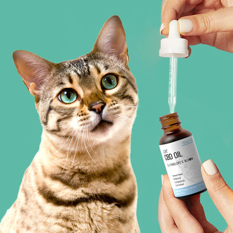 CBD Oil Tinctures for Cats | CBD oil for Pets | Penelope's Bloom