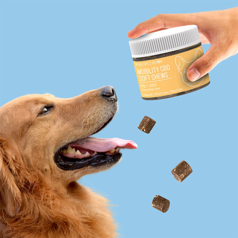 CBD Soft Chews For Joint + Mobility - 300mg | Penelope's Bloom